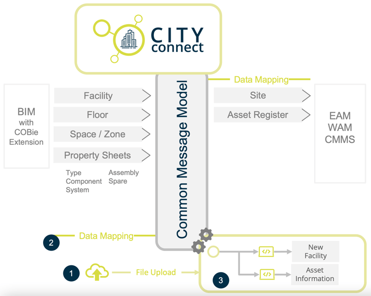 Automation: BIM to Asset Register | Spatial DNA
